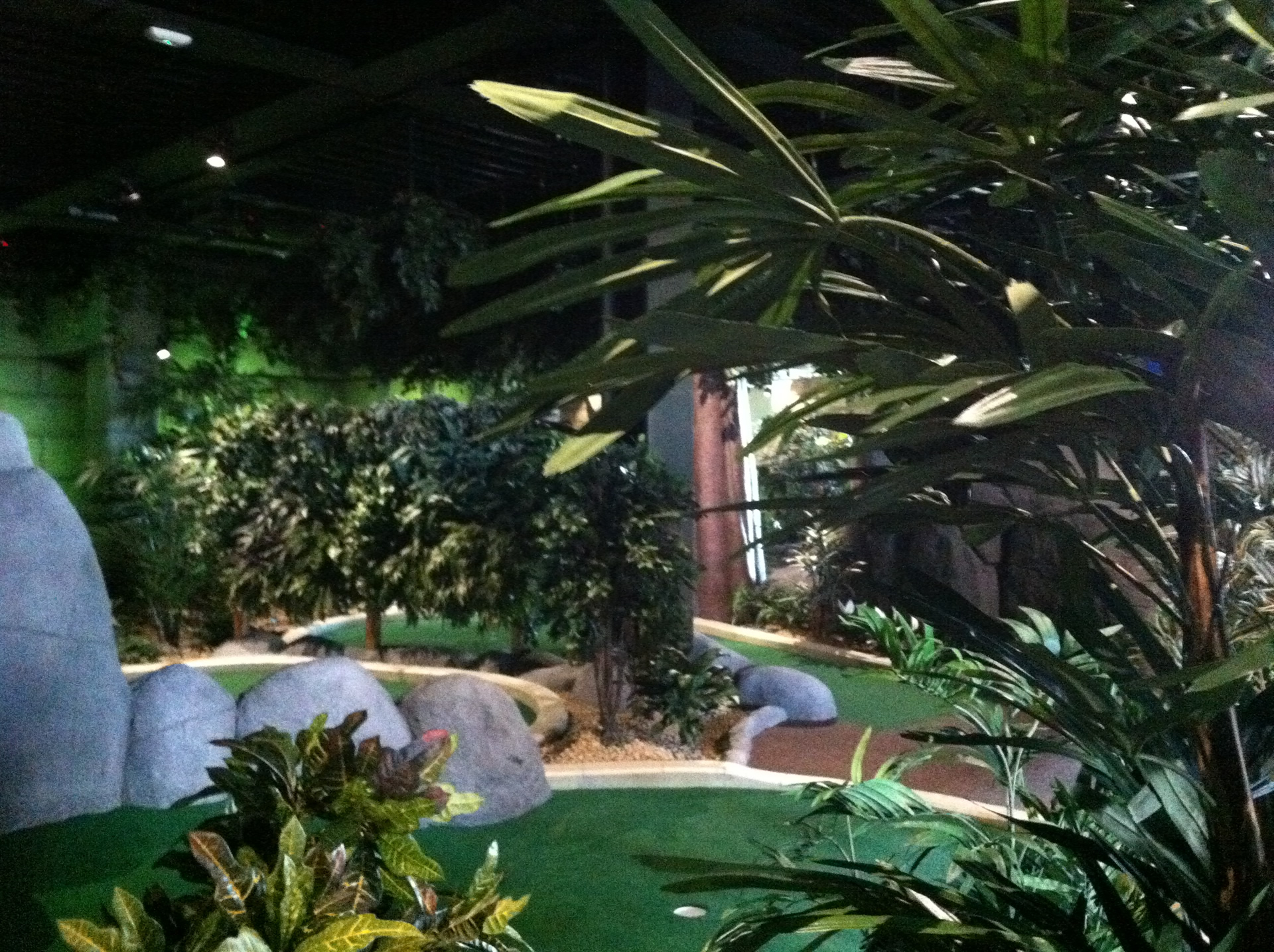Rainforest Adventure Golf - Dundrum Dublin Ireland | Castle Golf